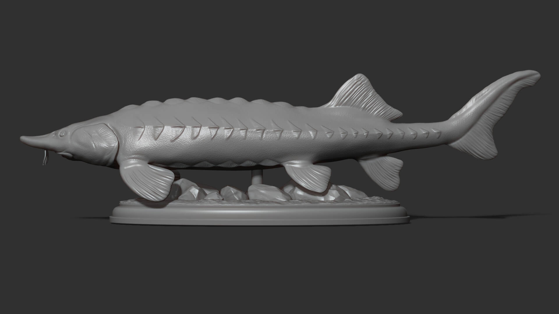 Sturgeon Beluga Fish on The Base - 3D Model by guninnik81