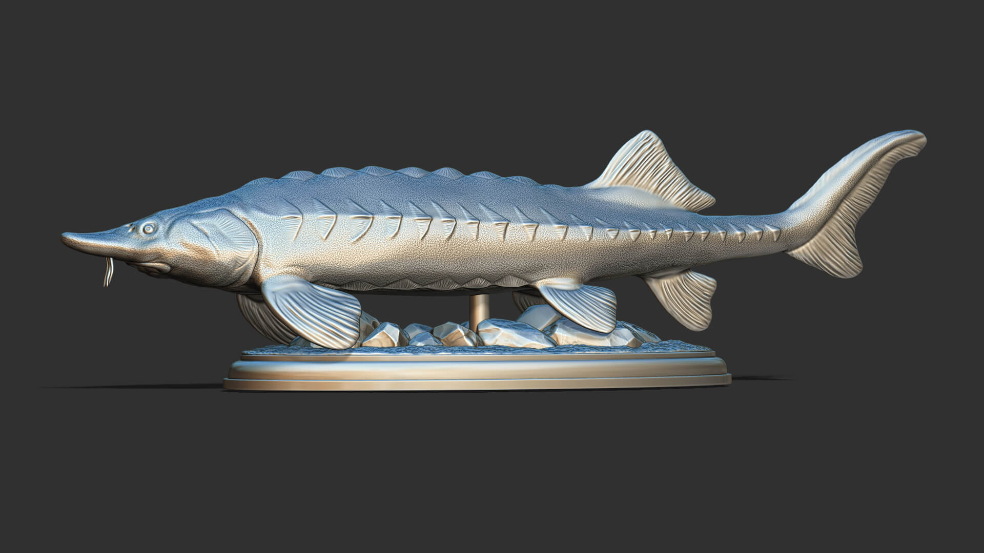 Sturgeon Beluga Fish on The Base - 3D Model by guninnik81