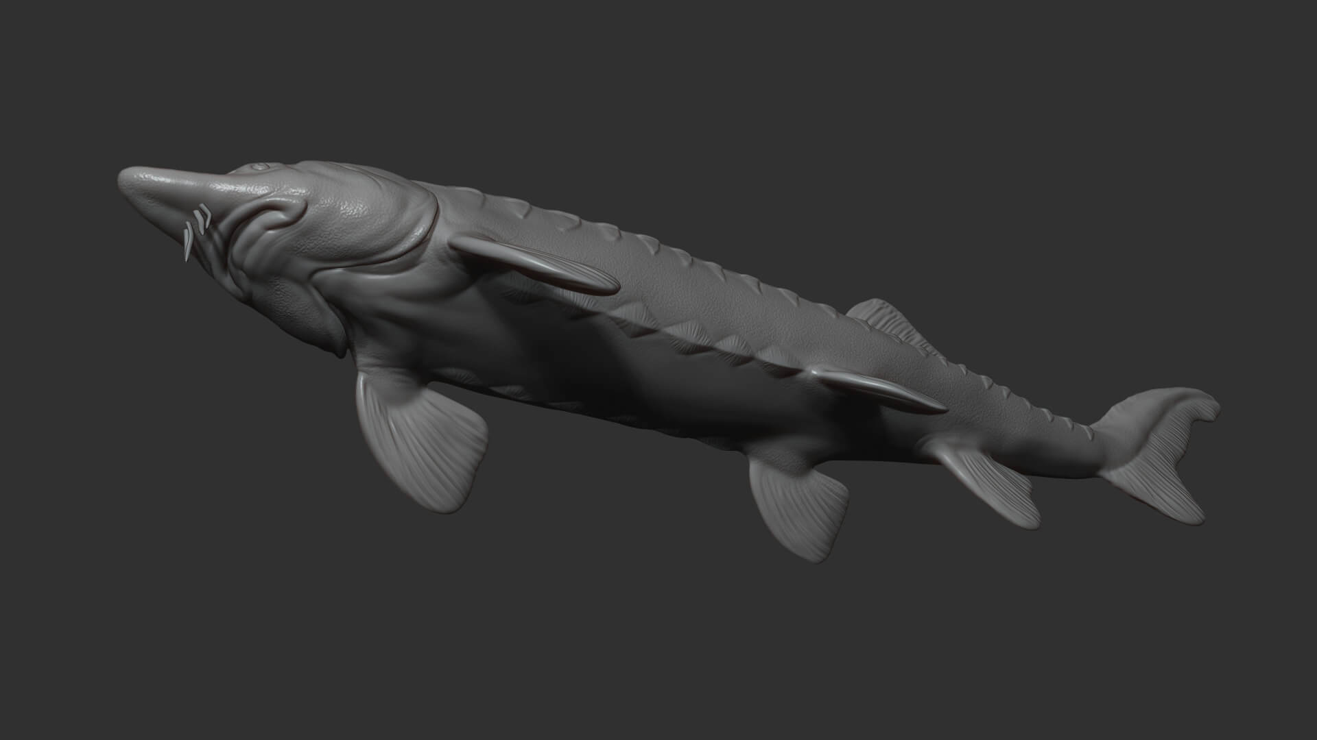 Sturgeon Beluga Fish on The Base - 3D Model by guninnik81