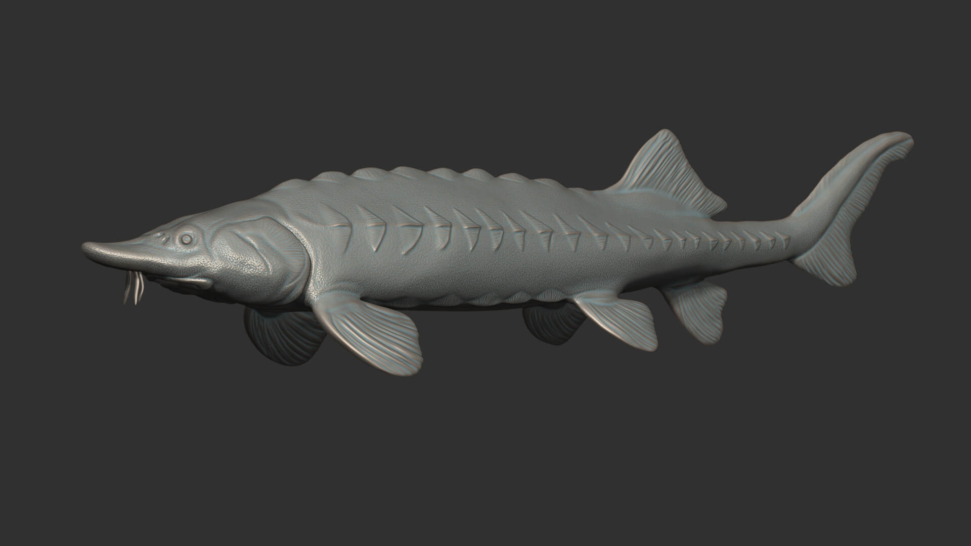 Sturgeon Beluga Fish on The Base - 3D Print Model by guninnik81