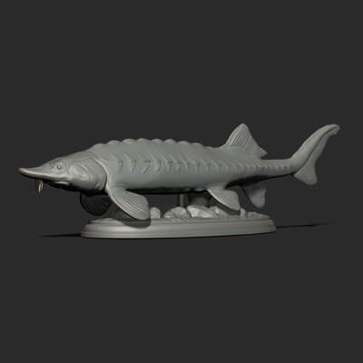 Pike Fish On The Base - 3D Print Model by guninnik81