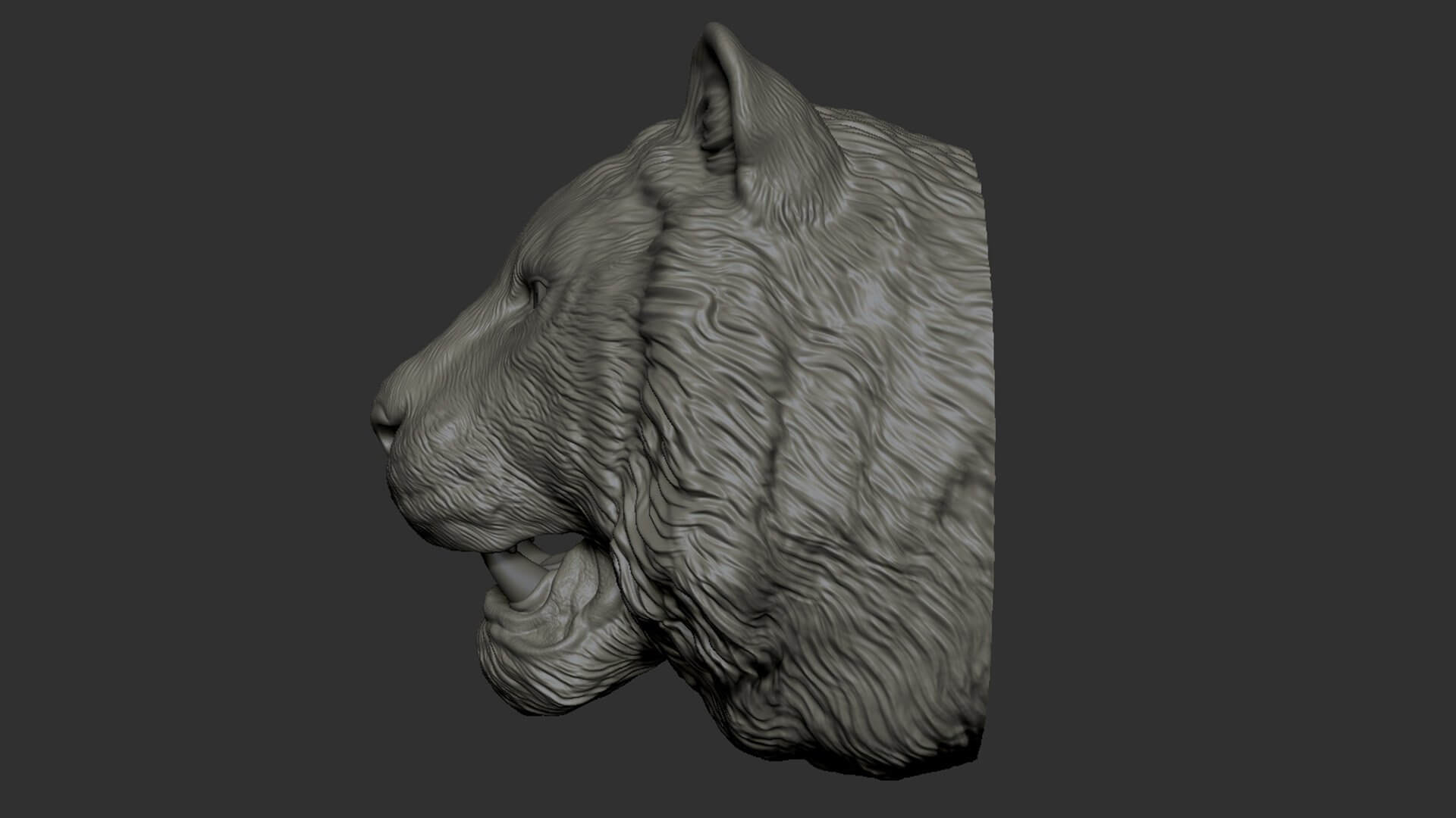 Tiger Head - 3D Model by guninnik81