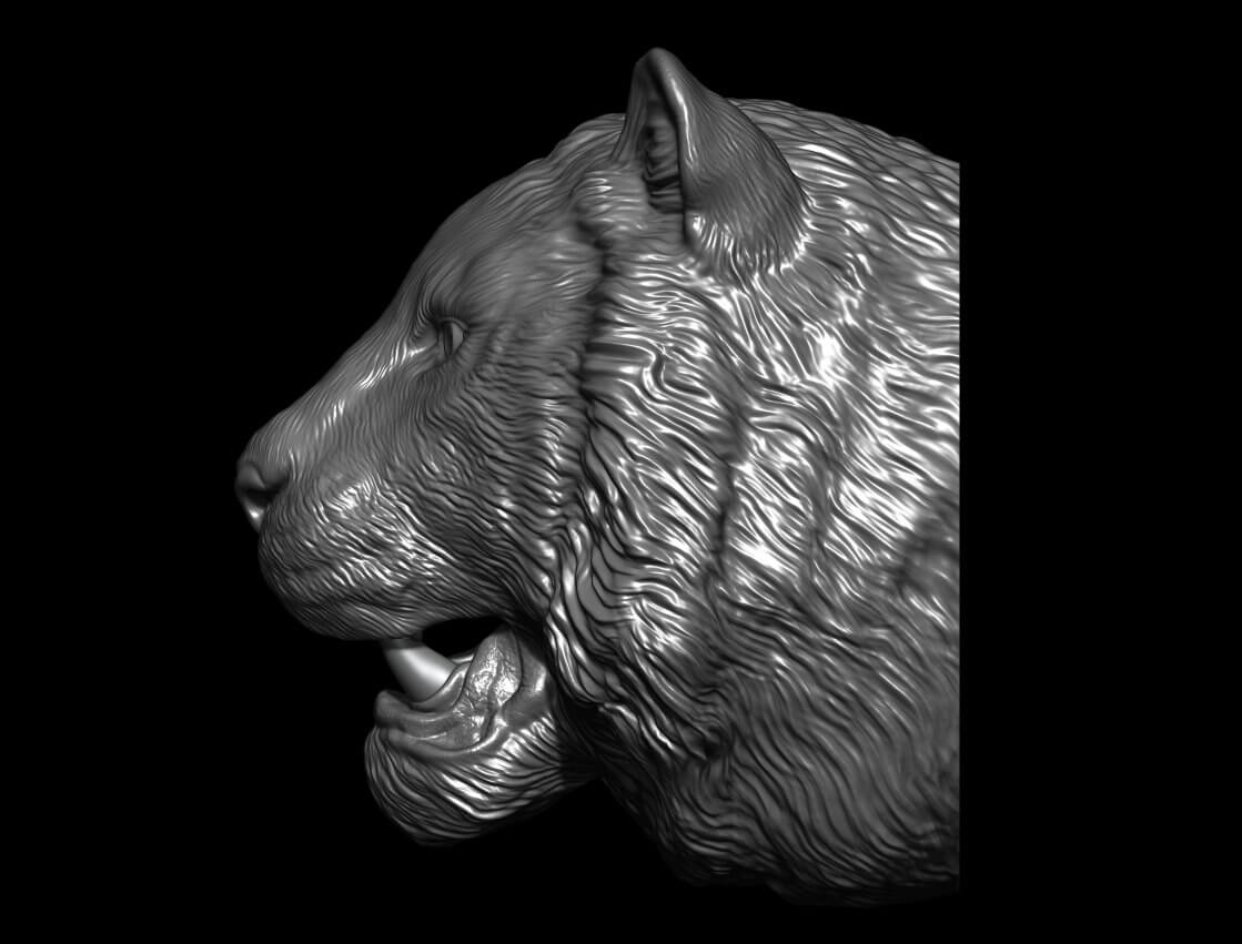 Tiger Head - 3D Model by guninnik81