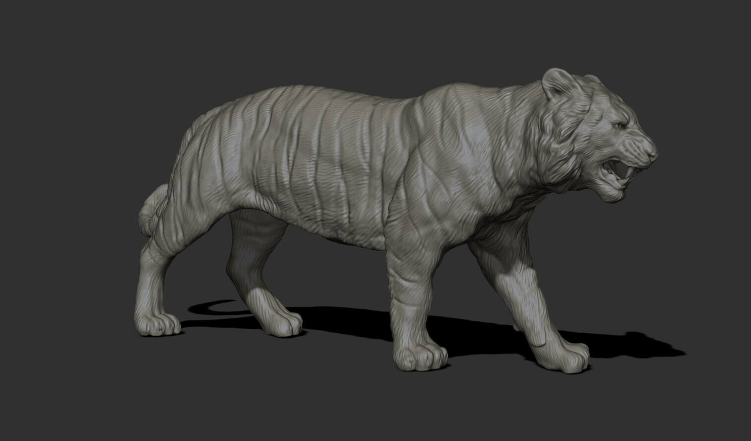 Tiger Walking - 3D Model by guninnik81