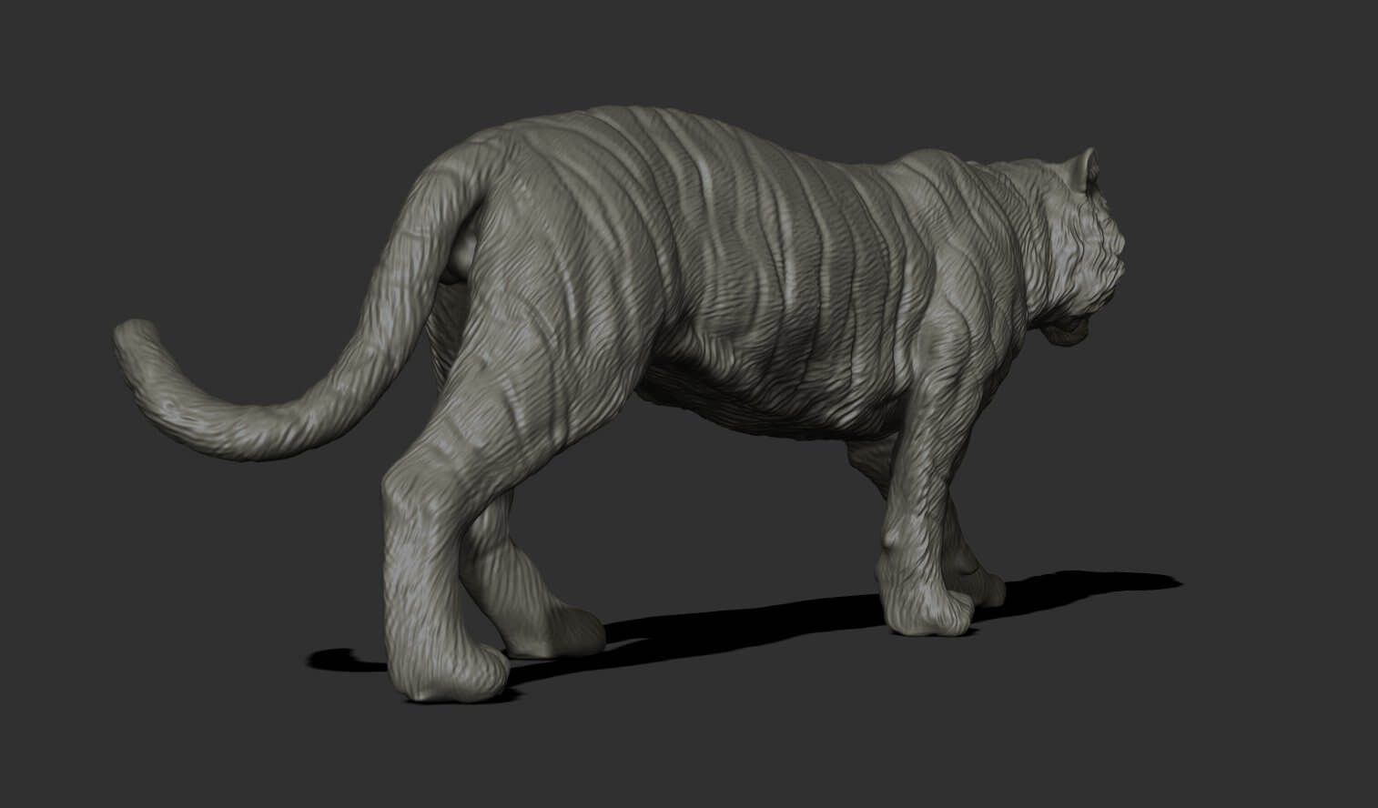 Tiger Walking - 3D Model by guninnik81