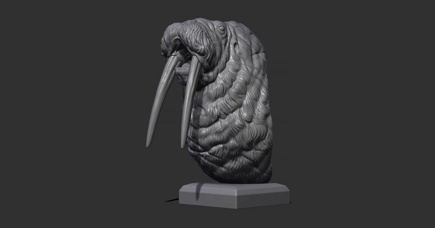 Walrus Bust - 3D Print Model by guninnik81