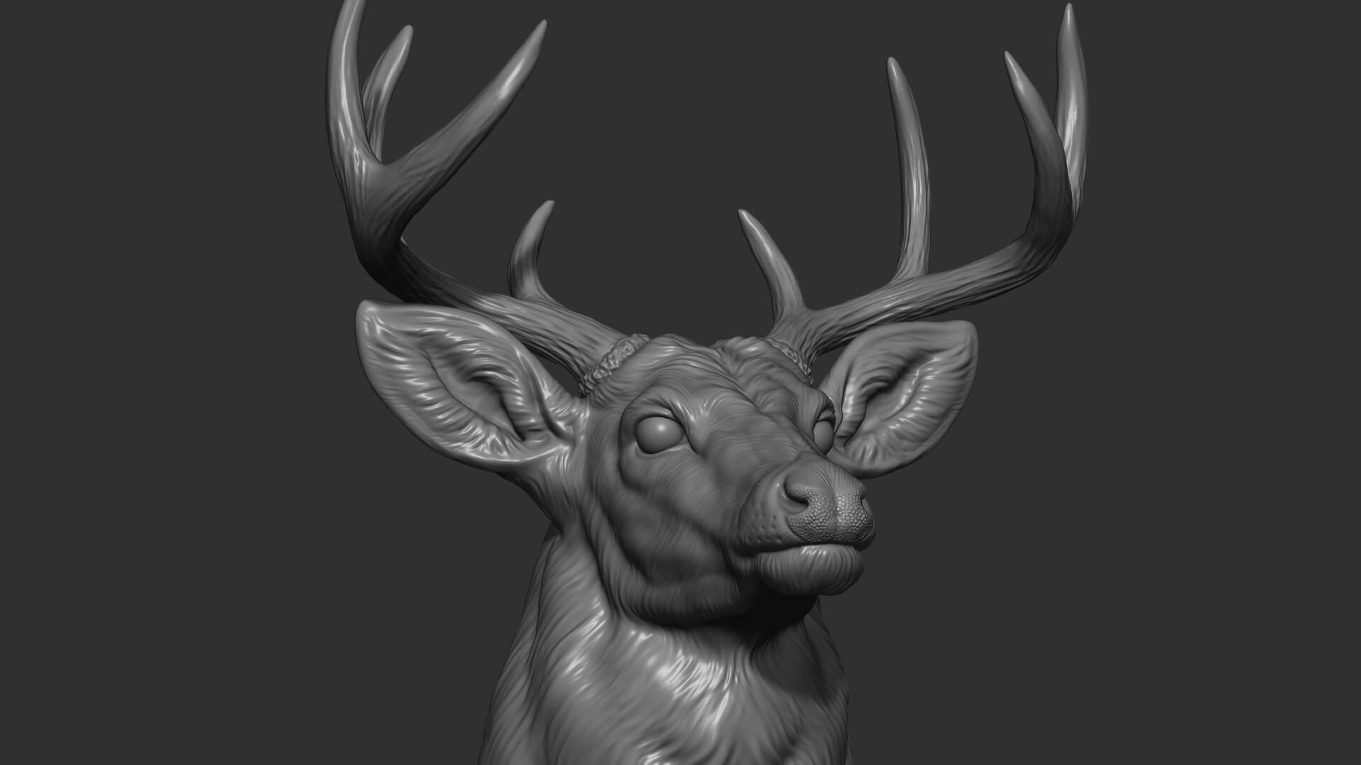White Tailed Deer Bust - 3D Model by guninnik81