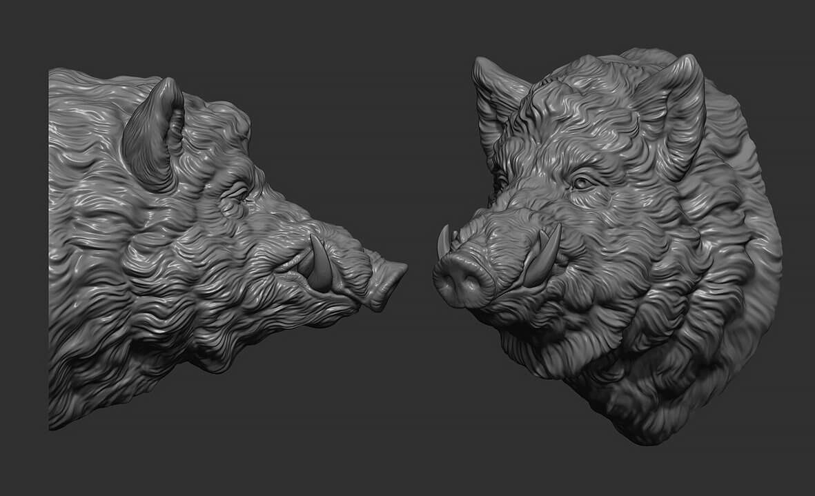 Wild Boar Head - 3D Model by guninnik81