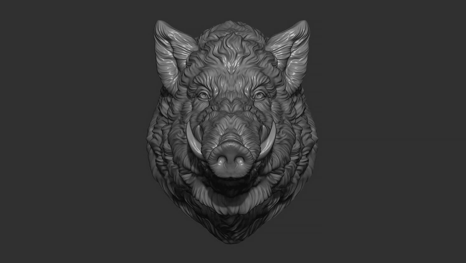 Wild Boar Head - 3D Model by guninnik81