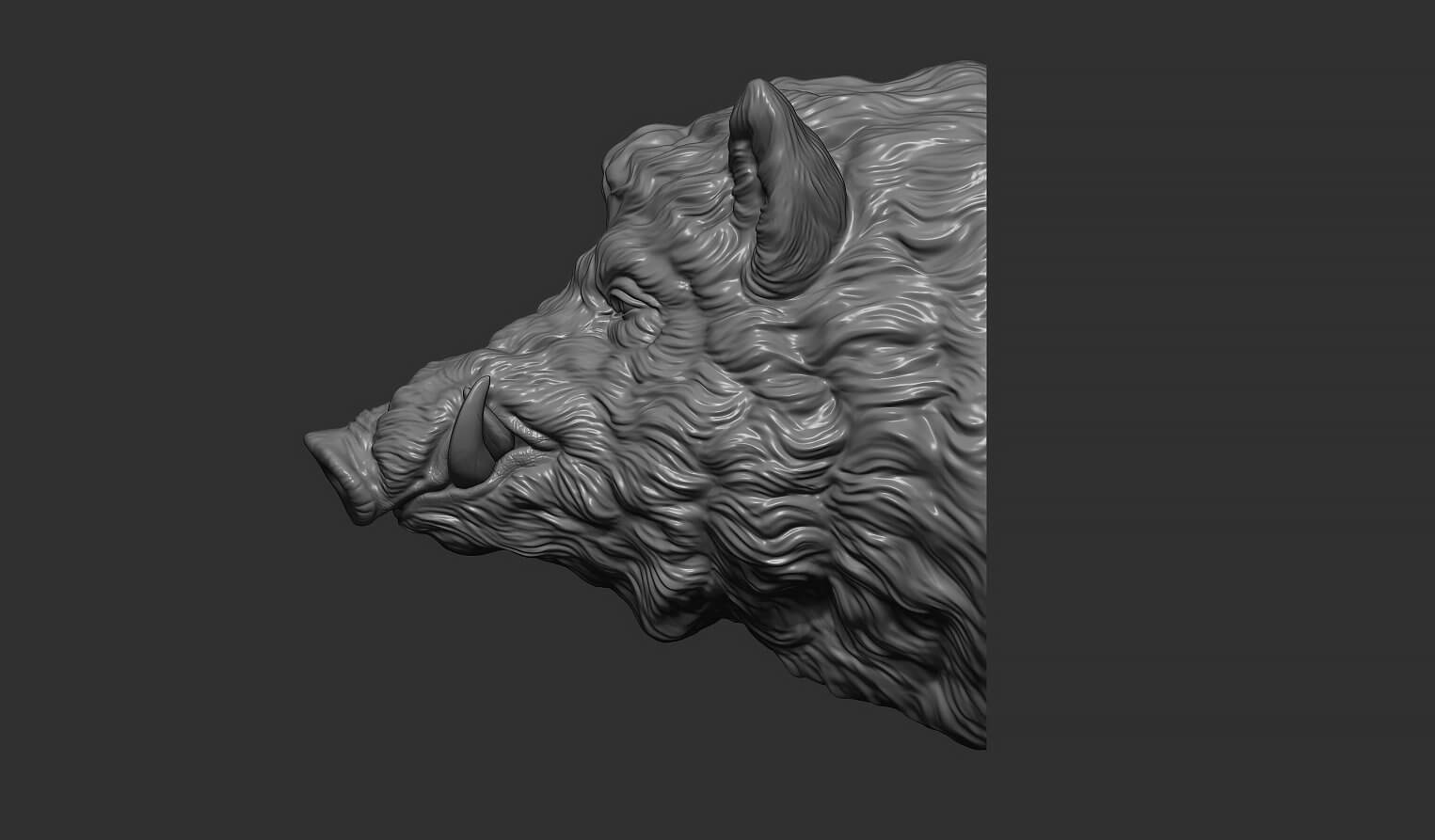Wild Boar Head - 3D Print Model by guninnik81