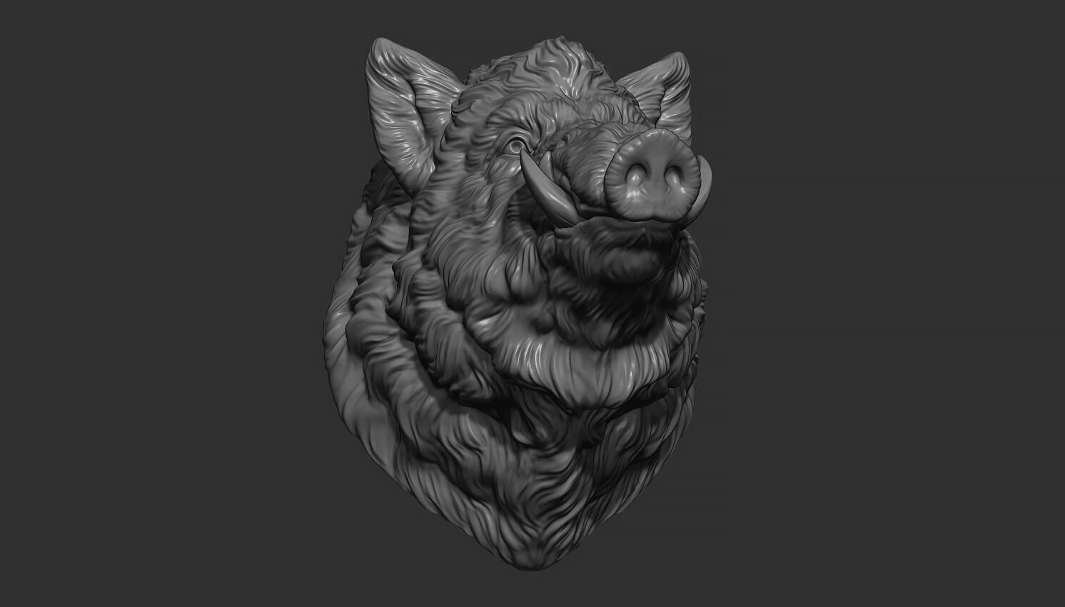 Wild Boar Head - 3D Print Model by guninnik81