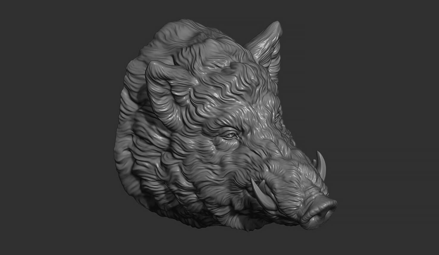 Wild Boar Head - 3D Model by guninnik81