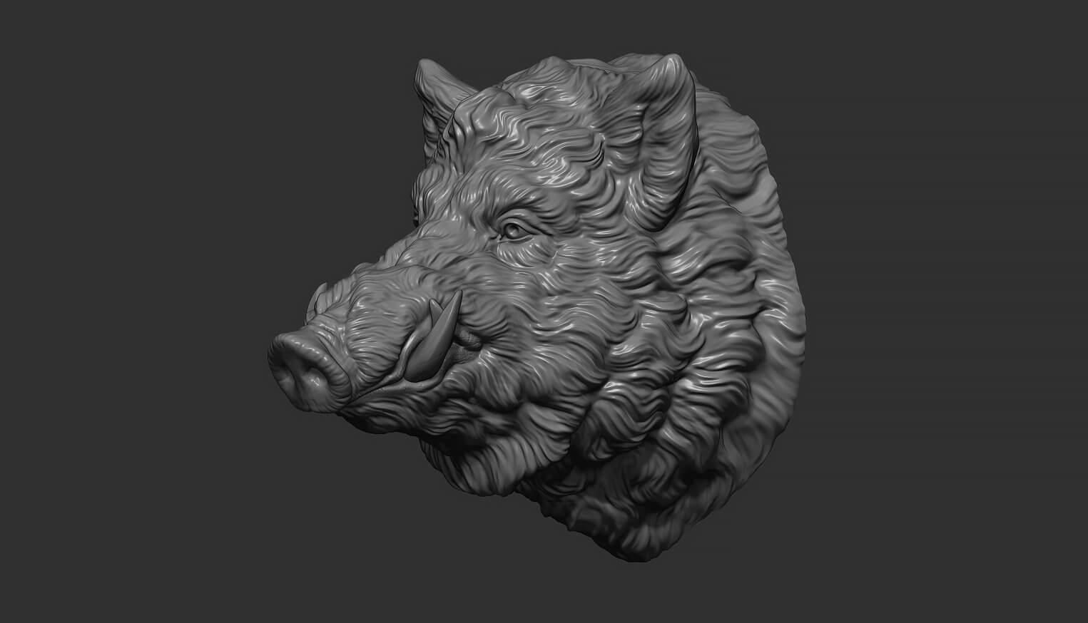 Wild Boar Head - 3D Print Model by guninnik81