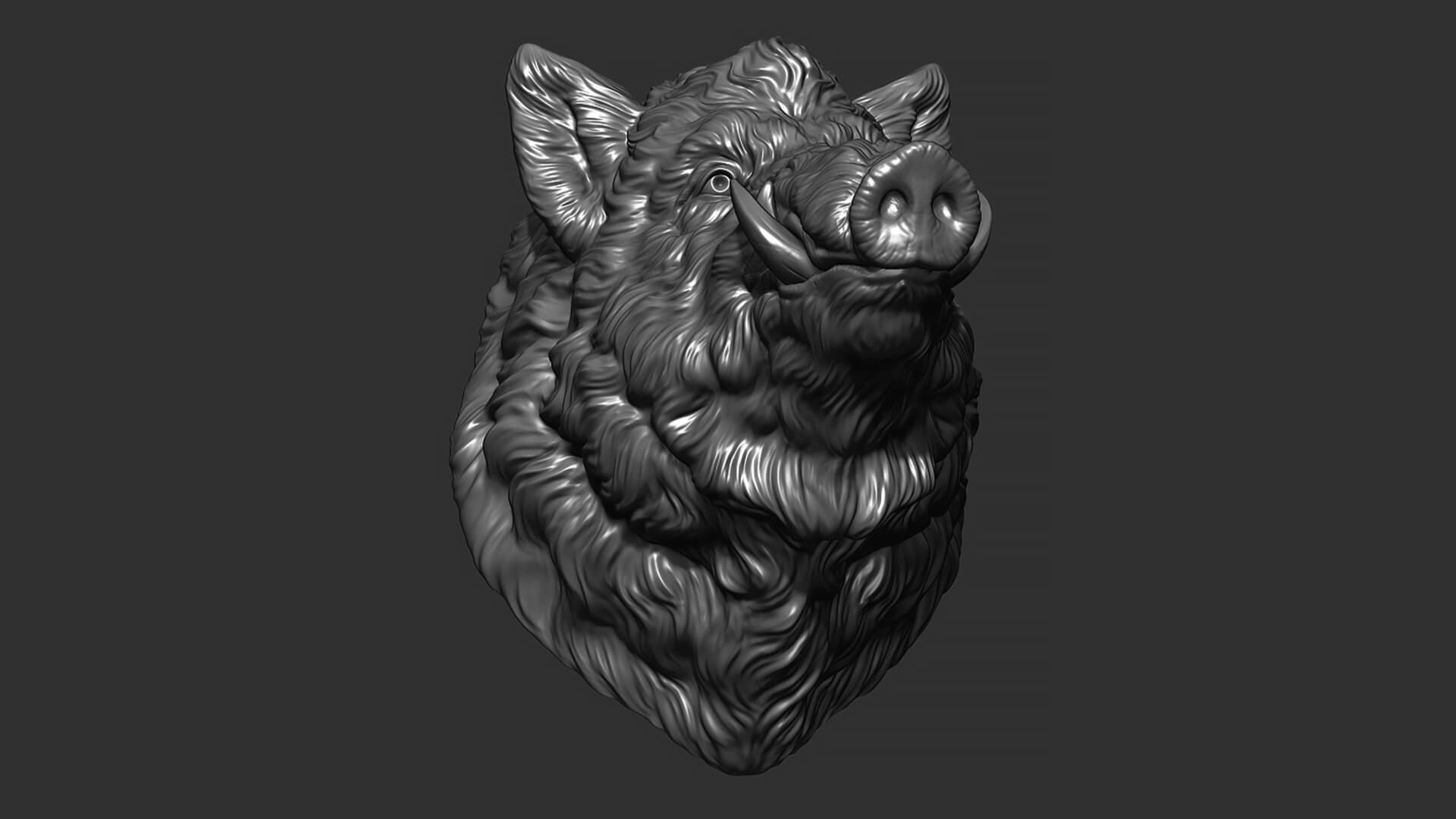 Wild Boar Head - 3D Model by guninnik81