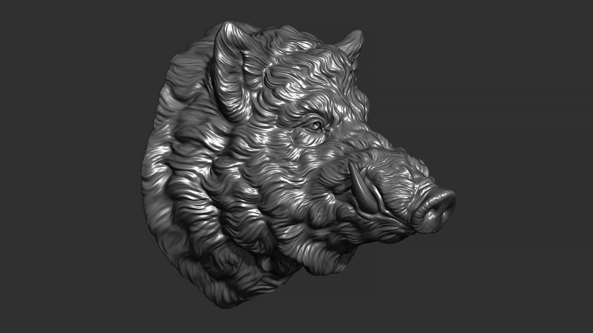 Wild Boar Head - 3D Model by guninnik81