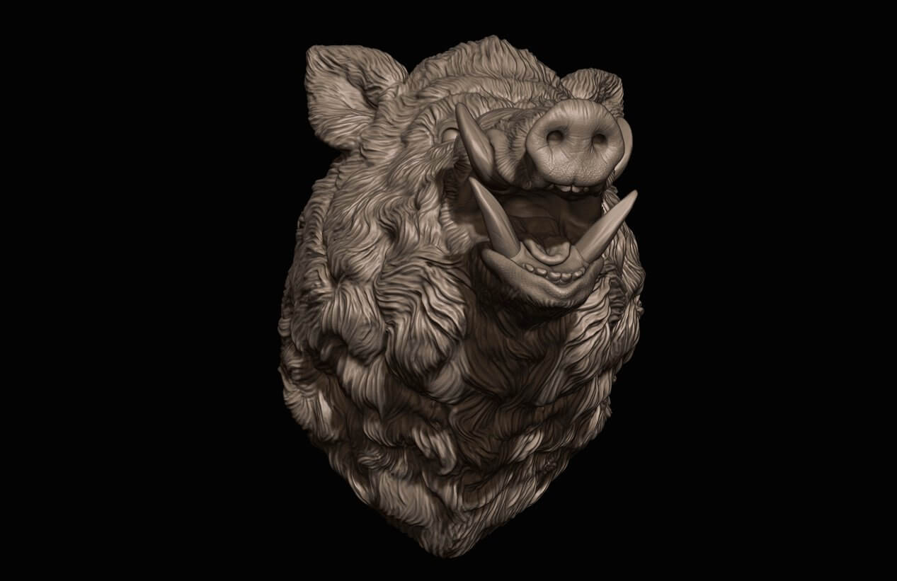 Wild Boar Hog - 3D Model by guninnik81