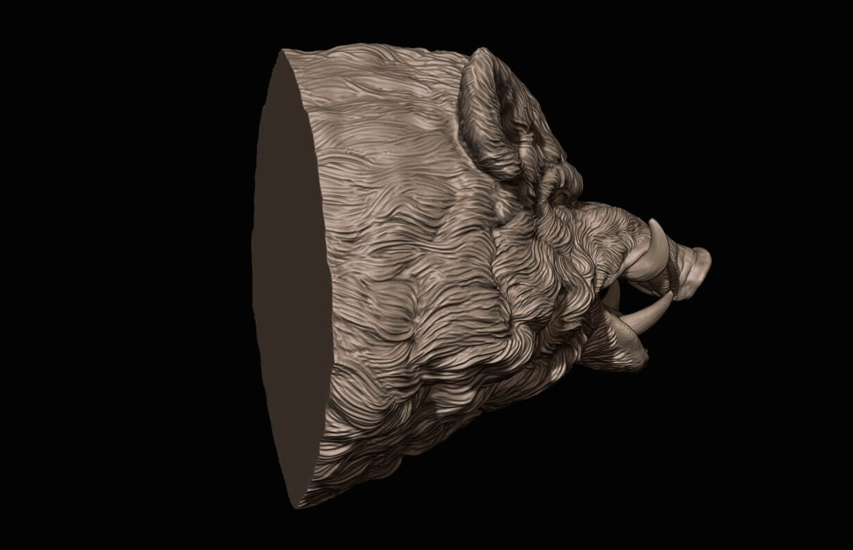 Wild Boar Hog - 3D Model by guninnik81