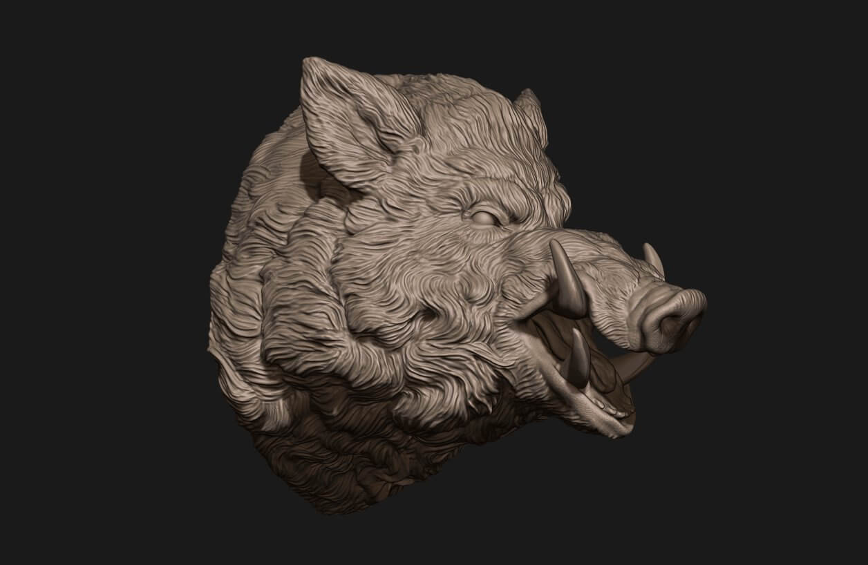 Wild Boar Hog - 3D Model by guninnik81