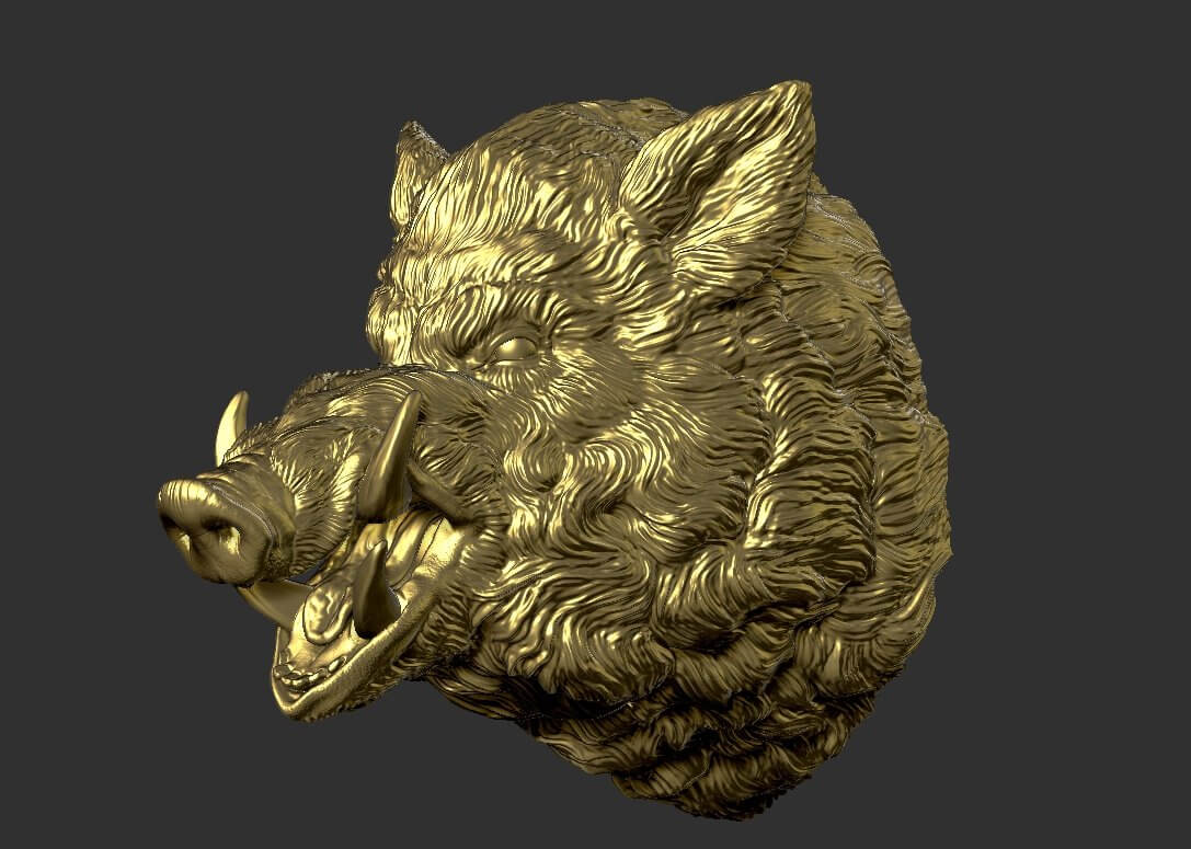 Wild Boar Hog - 3D Model by guninnik81