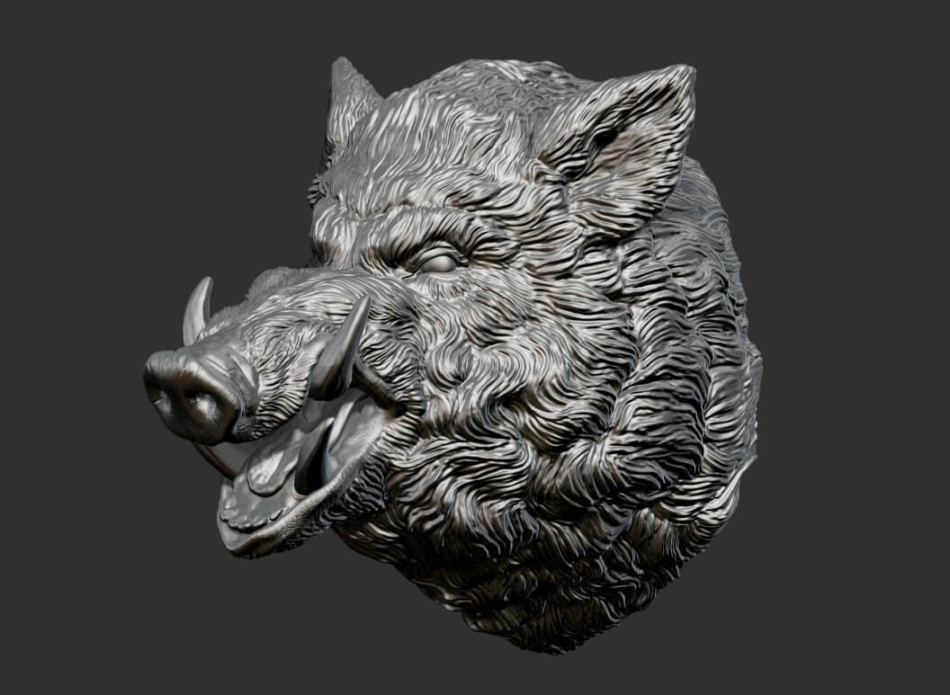 Wild Boar Hog - 3D Model by guninnik81