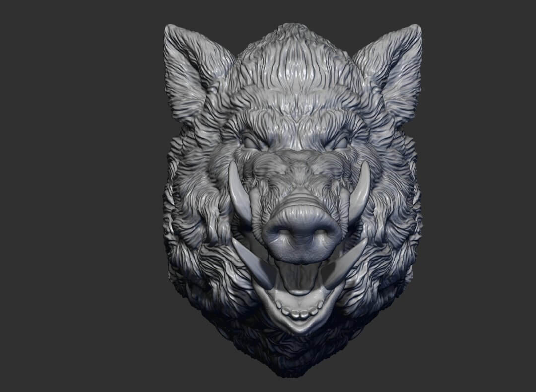 Wild Boar Hog - 3D Model by guninnik81