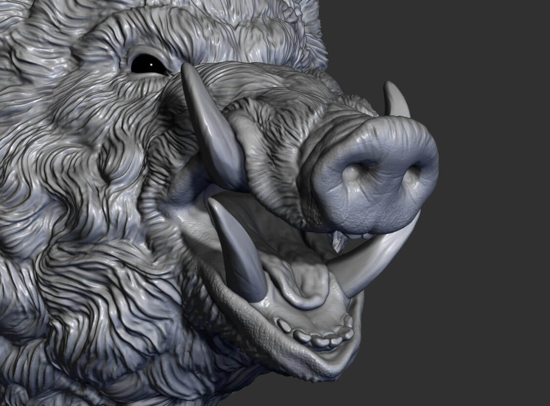 Wild Boar Hog - 3D Model by guninnik81