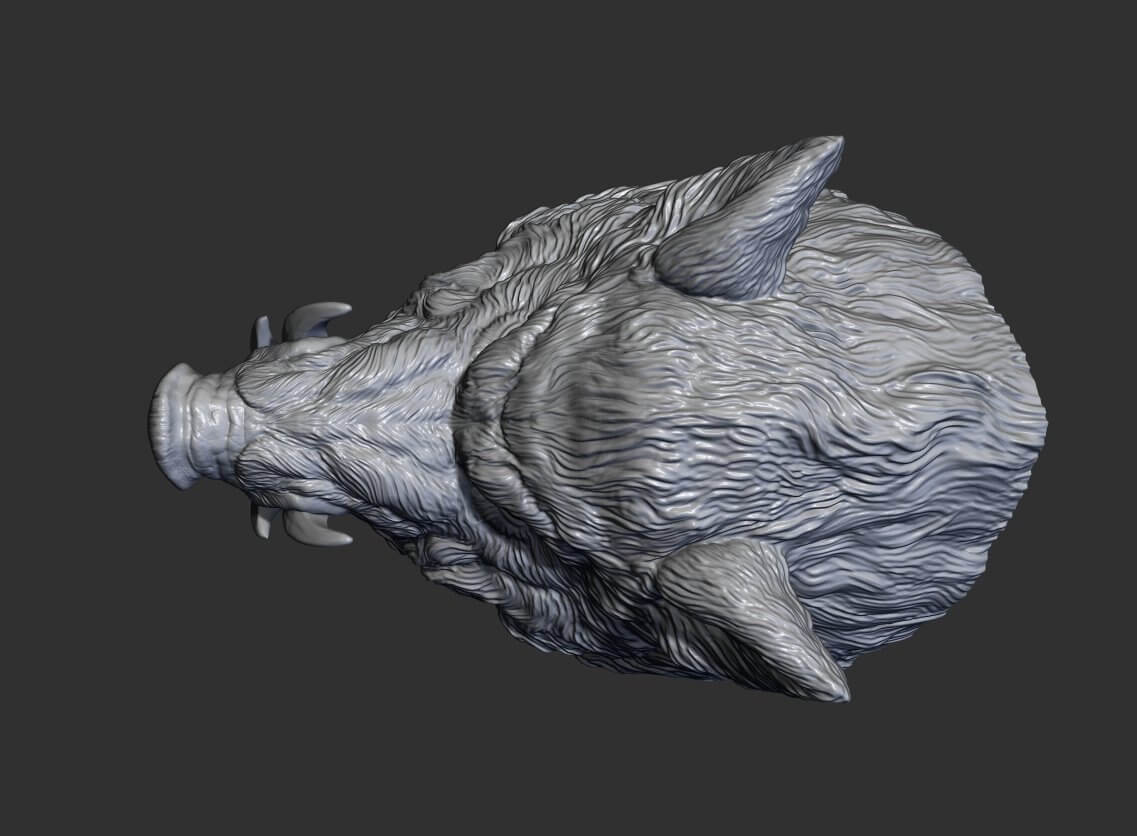 Wild Boar Hog - 3D Model by guninnik81