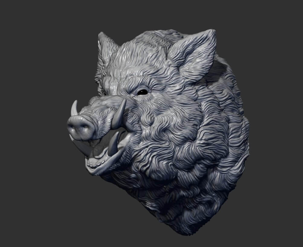 Wild Boar Hog - 3D Model by guninnik81