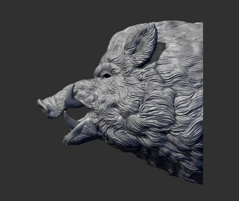 Wild Boar Hog - 3D Model by guninnik81