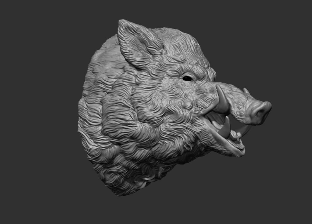 Wild Boar Hog - 3D Model by guninnik81