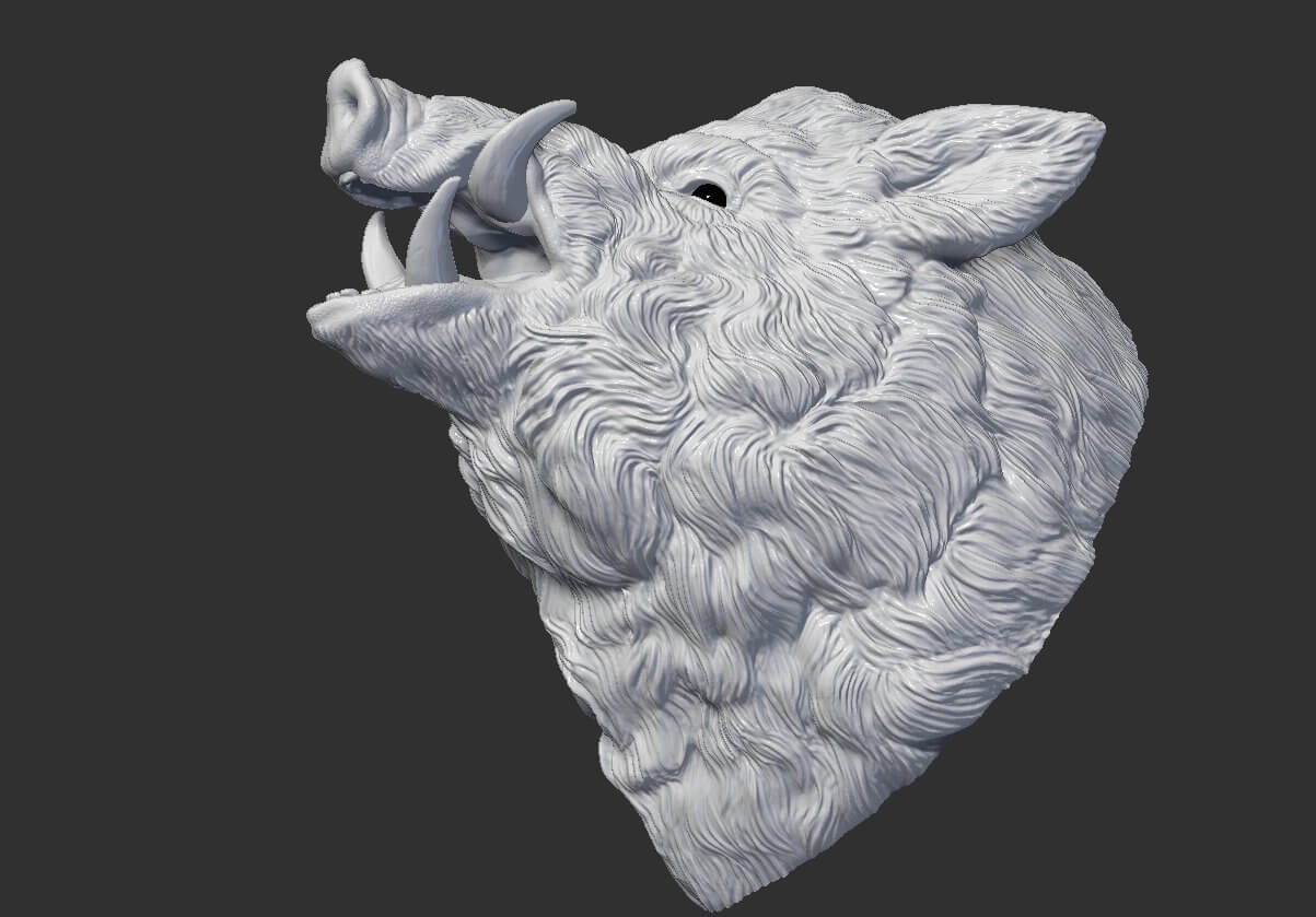 Wild Boar Hog - 3D Model by guninnik81