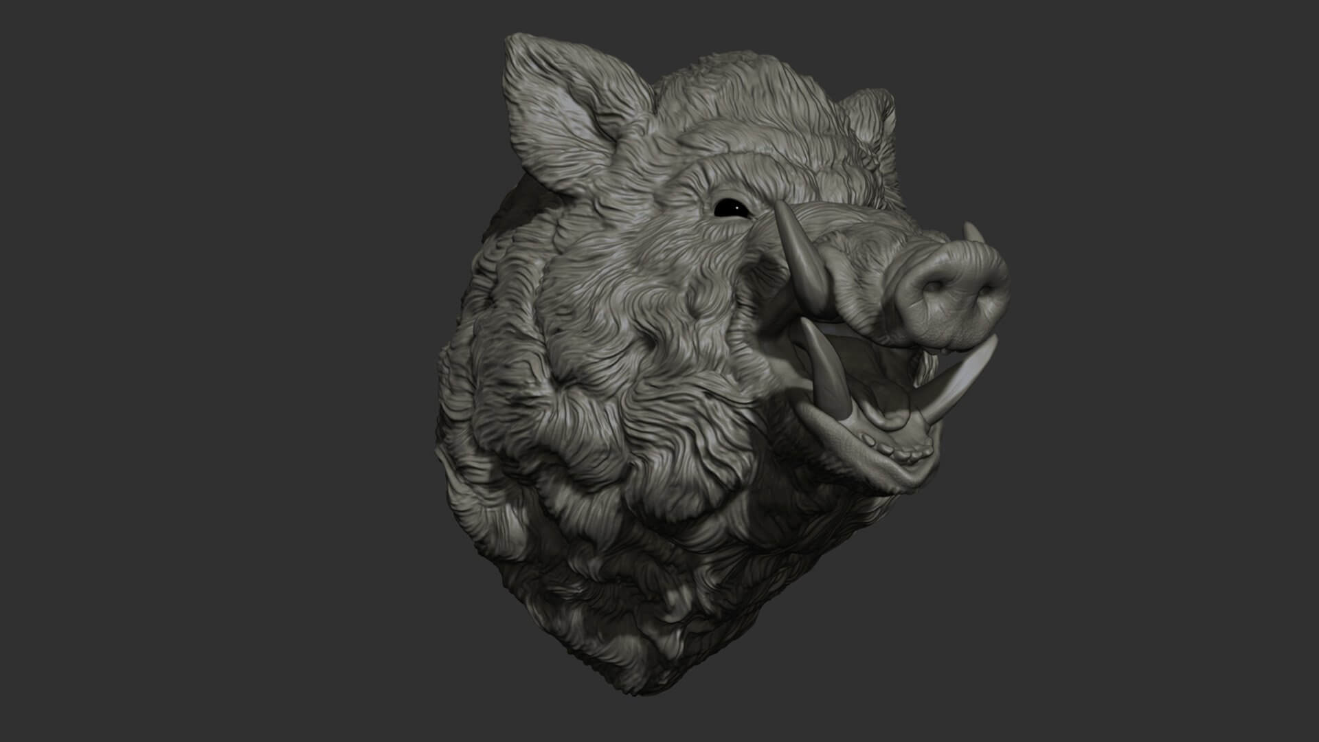Wild Boar Hog - 3D Model by guninnik81