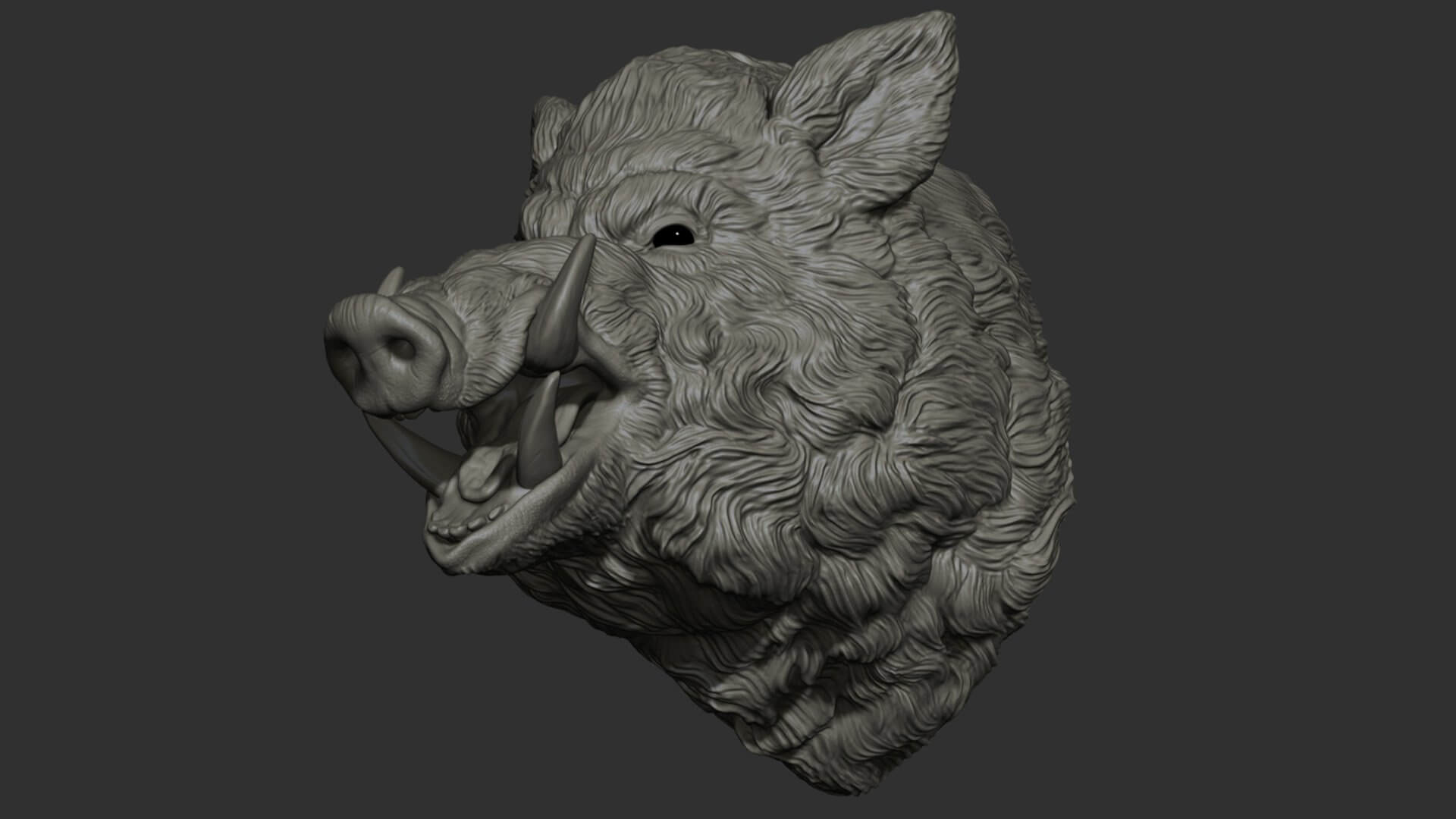Wild Boar Hog - 3D Model by guninnik81