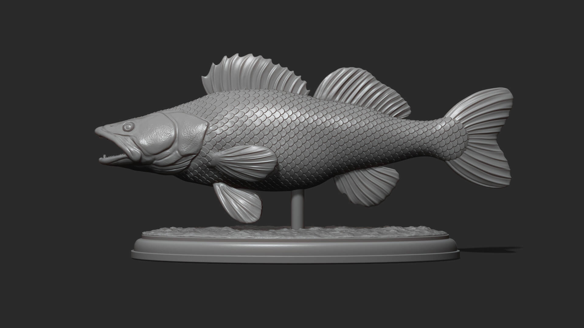 Zander on The Base - 3D Model by guninnik81