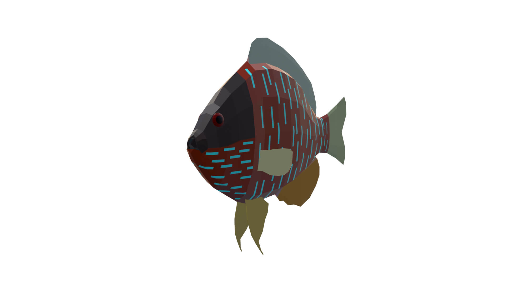 Bluegill Fish - 3D Model by H3afDya