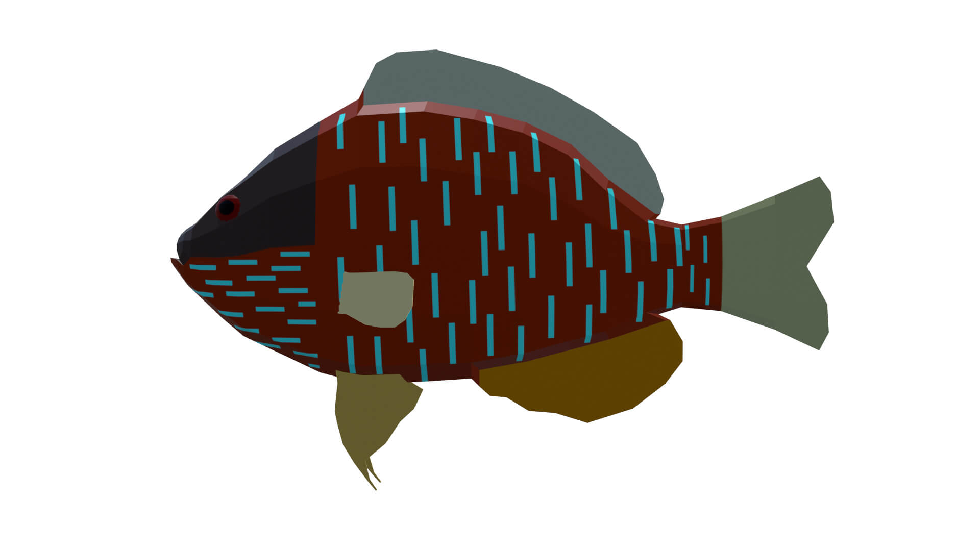 Bluegill Fish - 3D Model by H3afDya