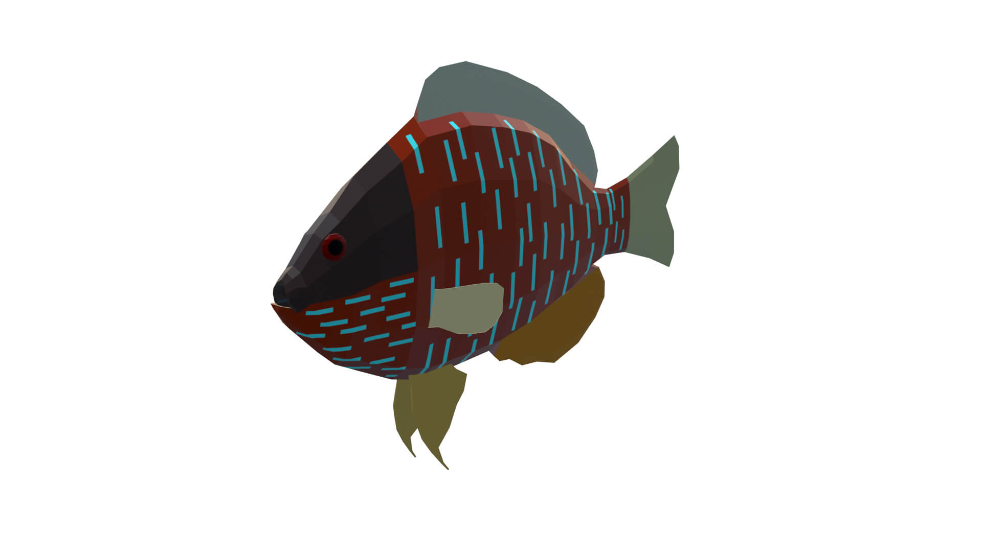 Bluegill Fish - 3D Model by H3afDya