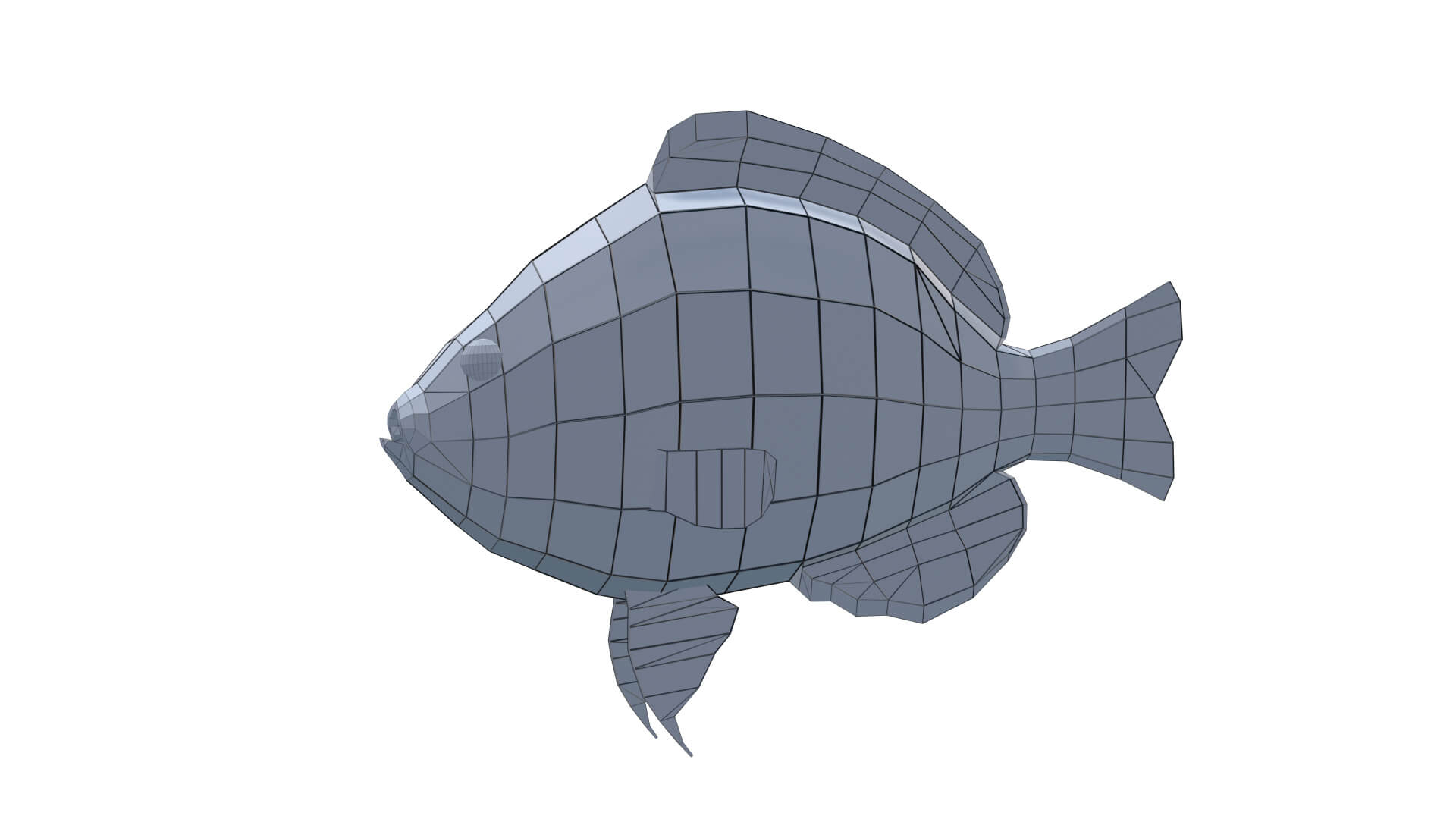 Bluegill Fish - 3D Model by H3afDya