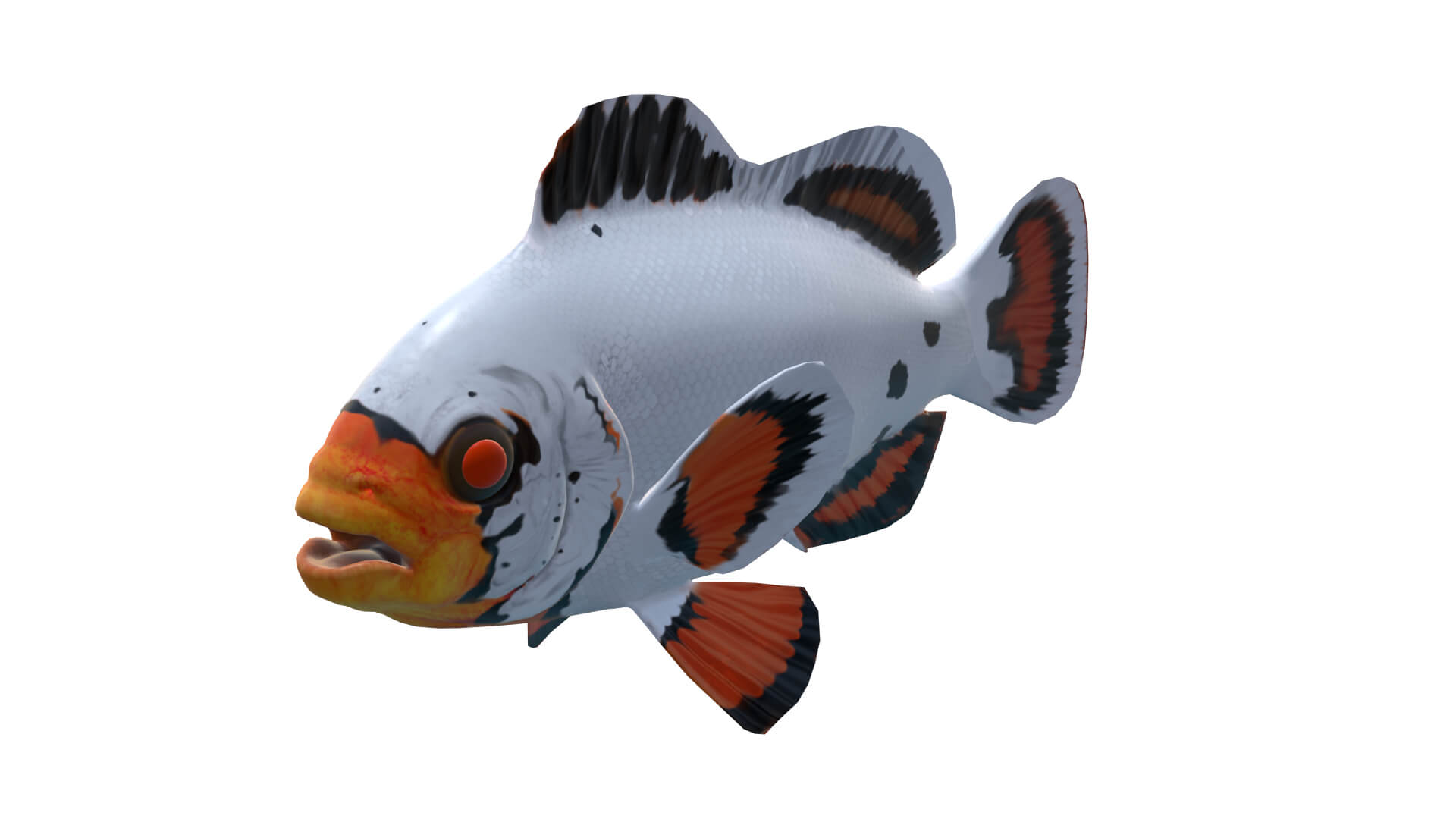 Clownfish Fish - 3D Model by H3afDya