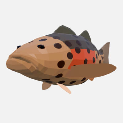COD Fish Animal - 3D Model by H3afDya