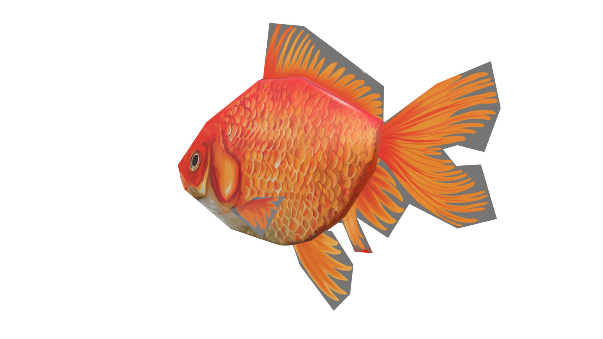Common Goldfish - 3D Model by H3afDya