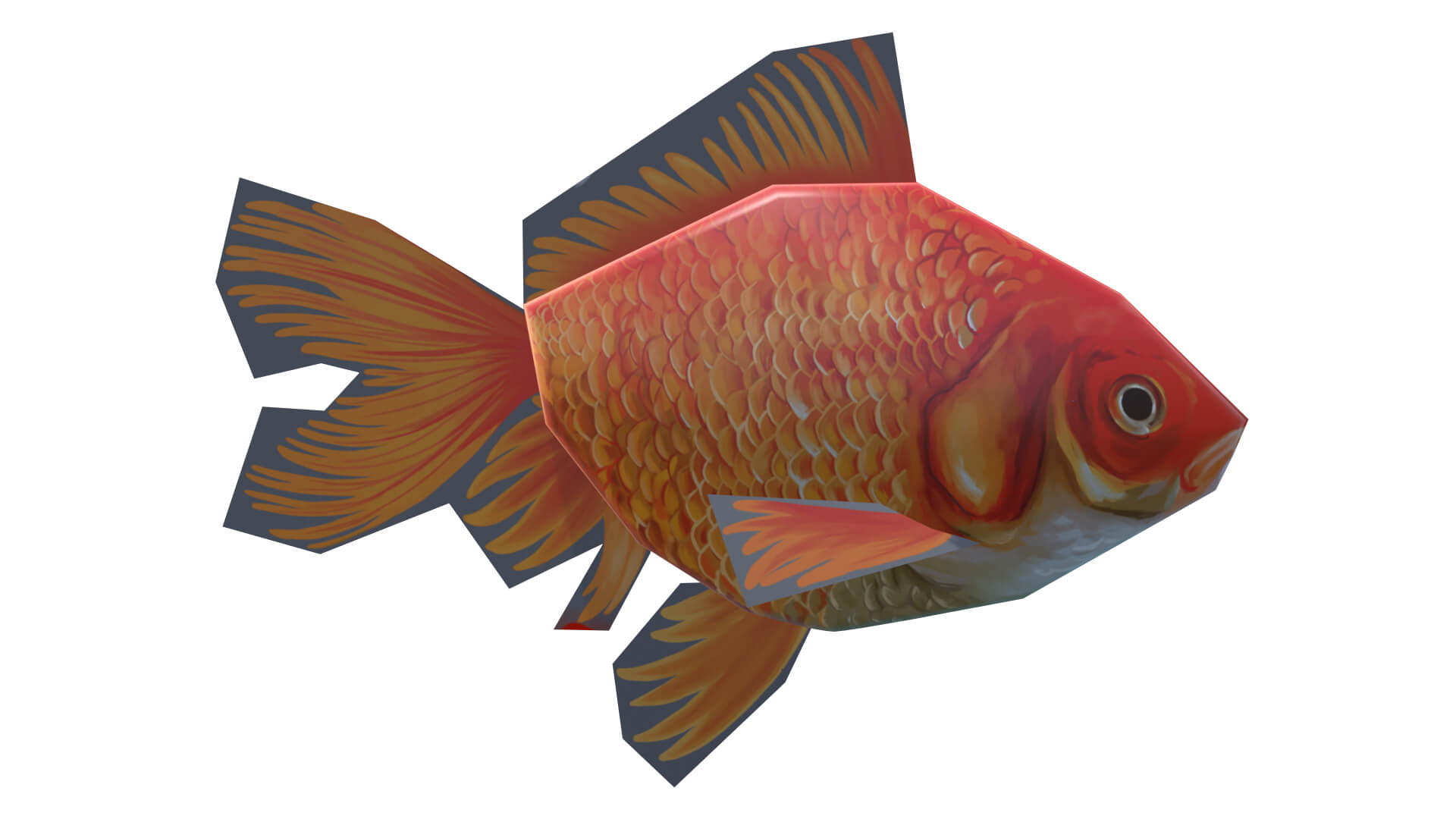 Common Goldfish - 3D Model by H3afDya