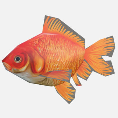 Common Goldfish - 3D Model by H3afDya