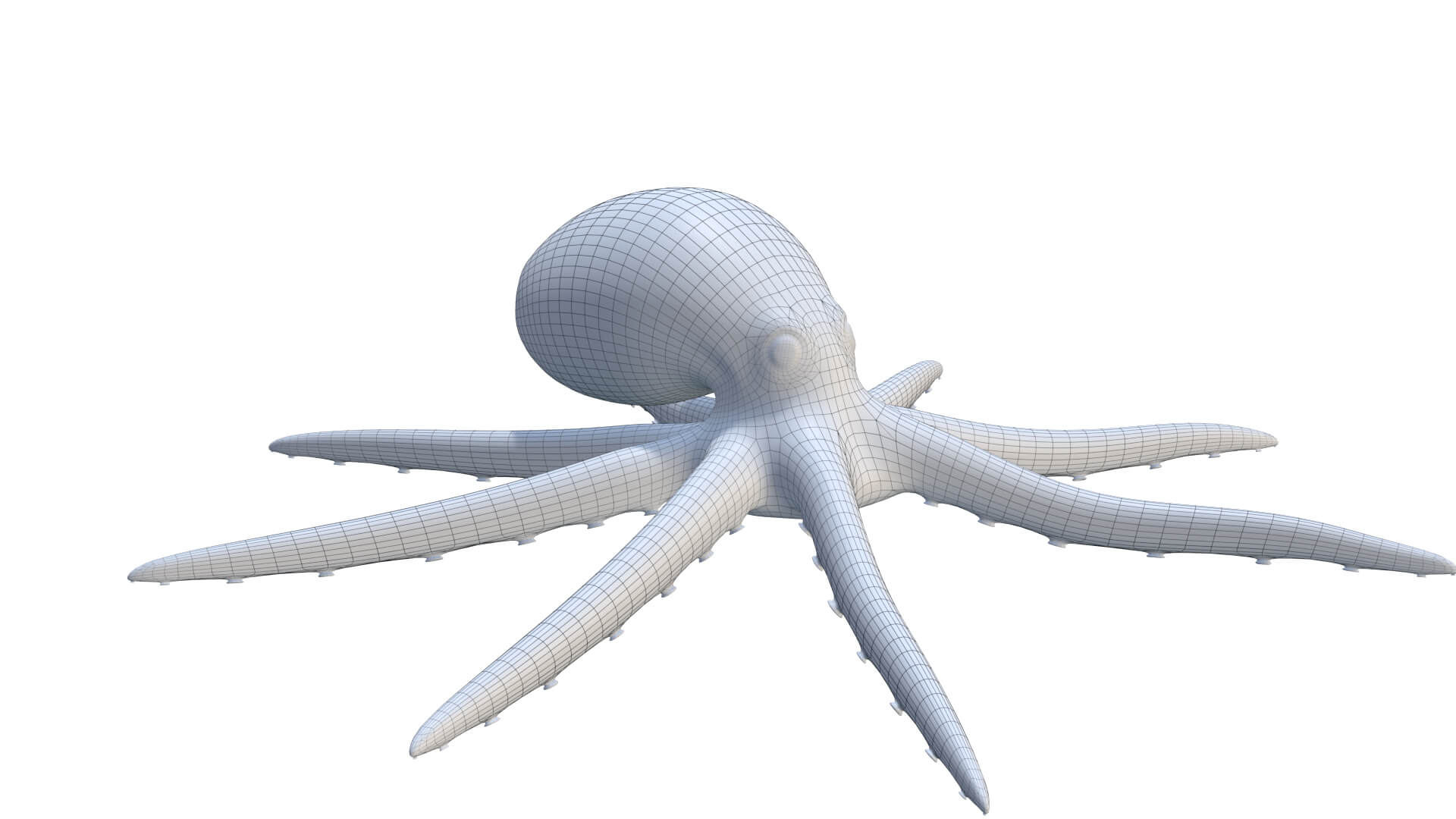 East Pacific Red Octopus - 3D Model by H3afDya