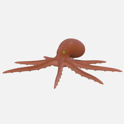 3D Models | Animals | Octopus | RenderHub