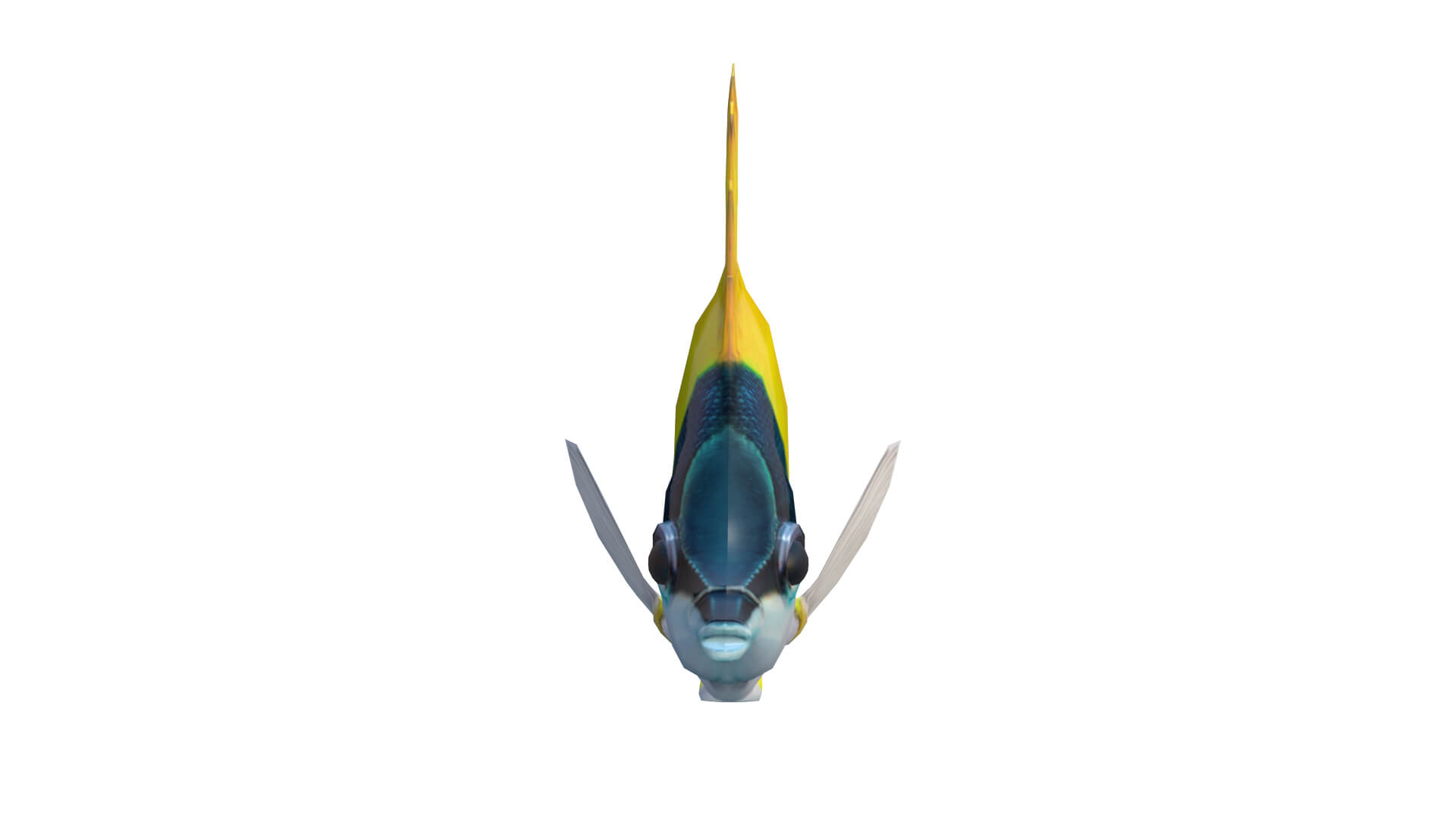 Forceps Fish - 3D Model by H3afDya