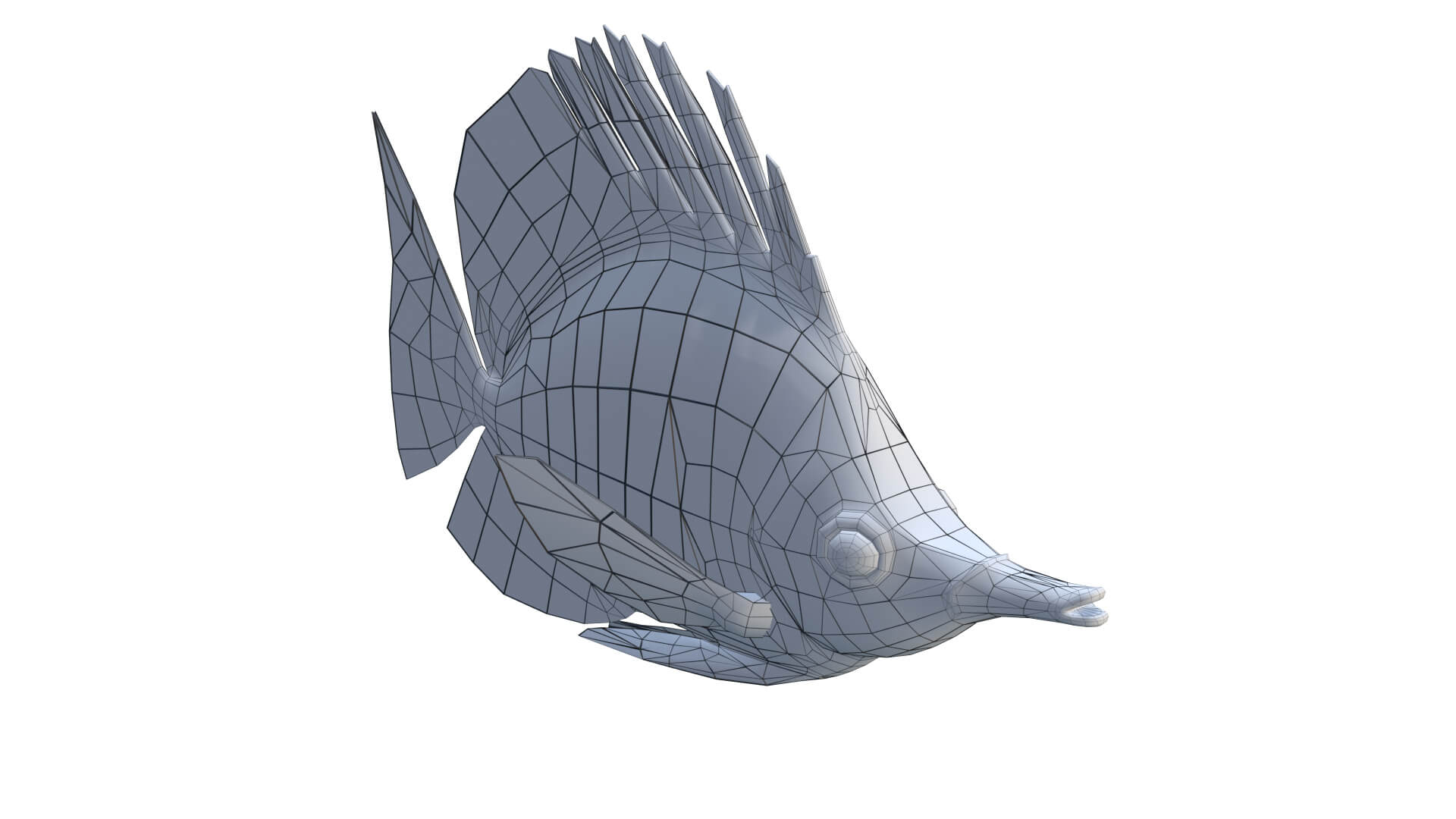 Forceps Fish - 3D Model by H3afDya