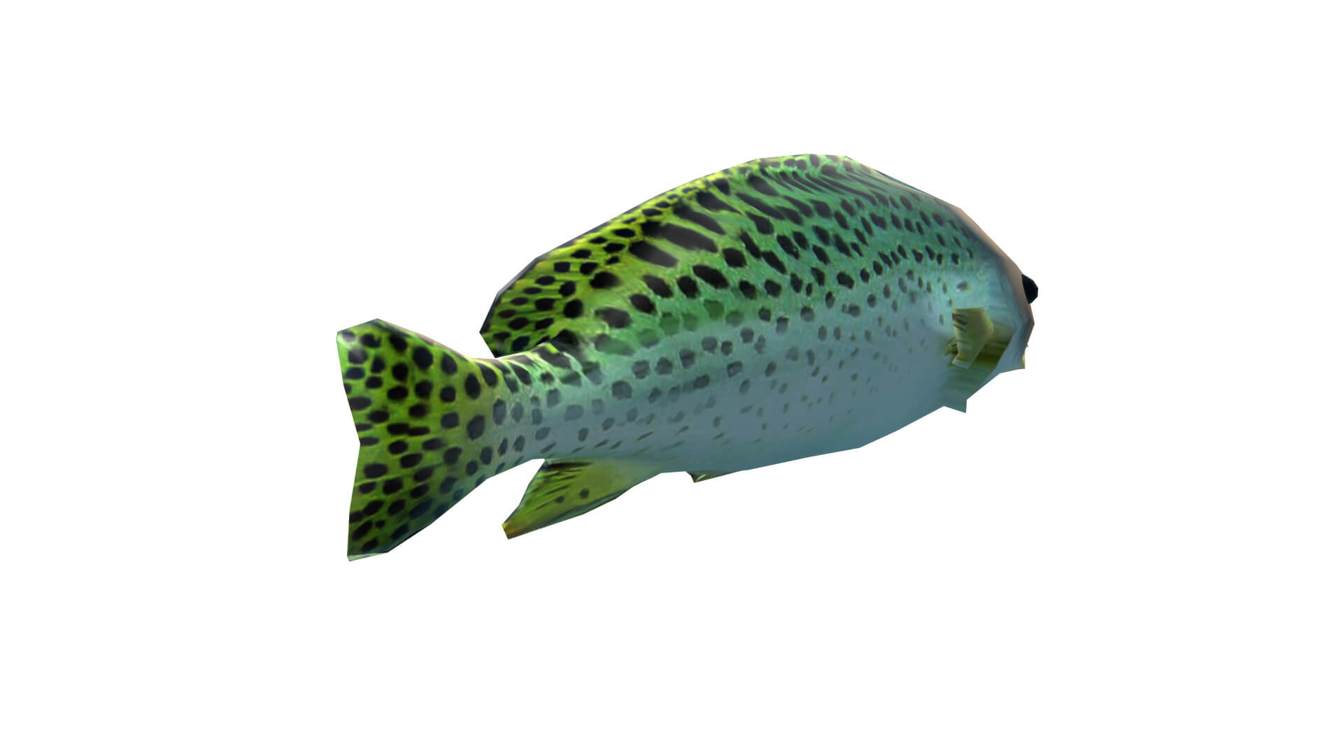 Green and Black Spotted Fish - 3D Model by H3afDya