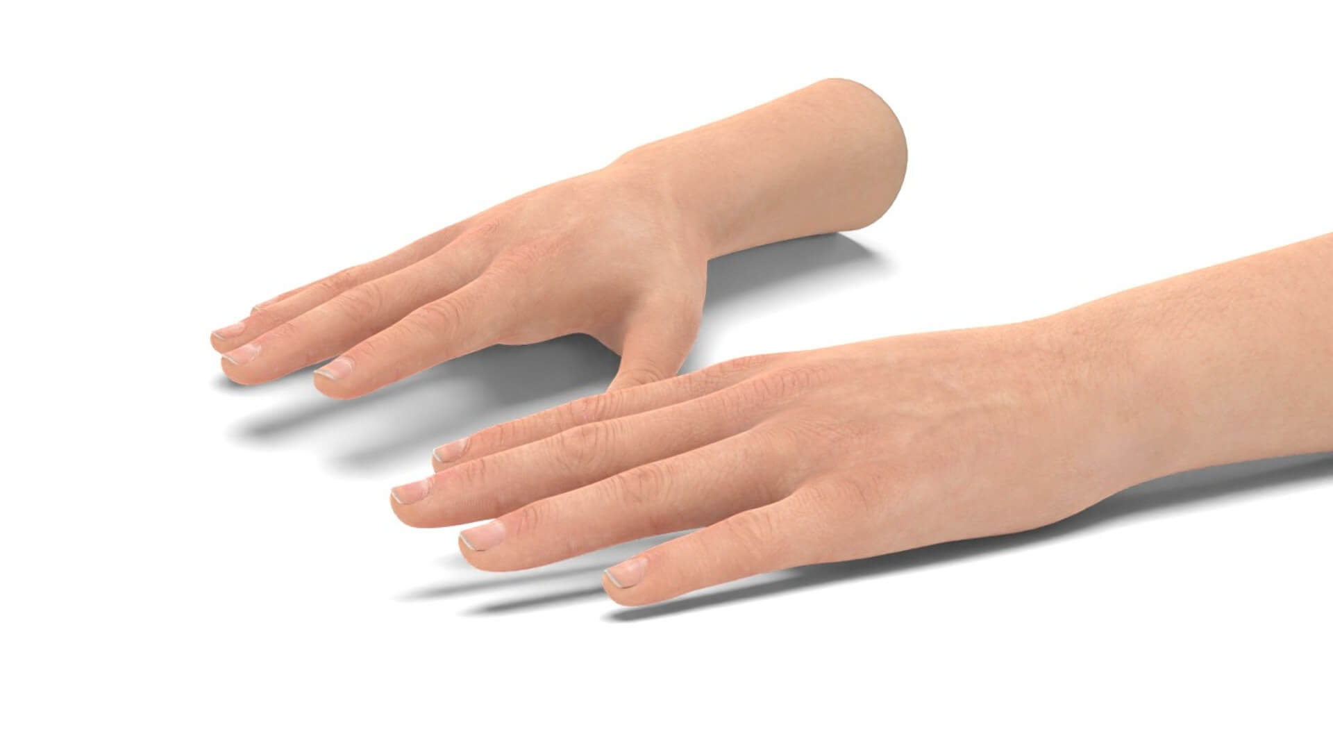 Male Rigged Hands - 3D Model by H3afDya