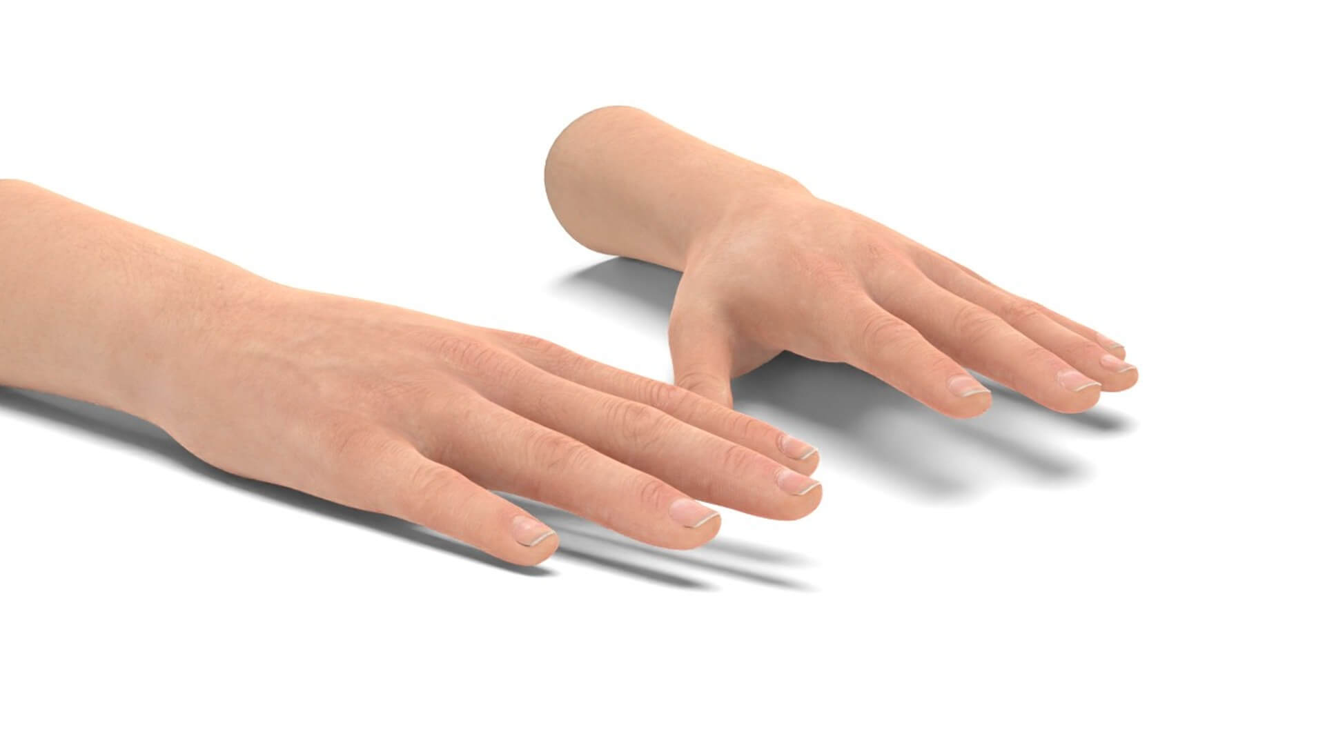 Male Rigged Hands - 3D Model by H3afDya